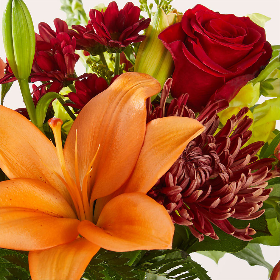 Chicago Florist with Same-Day Delivery | Jazmin Flowers–Jazmin Flowers